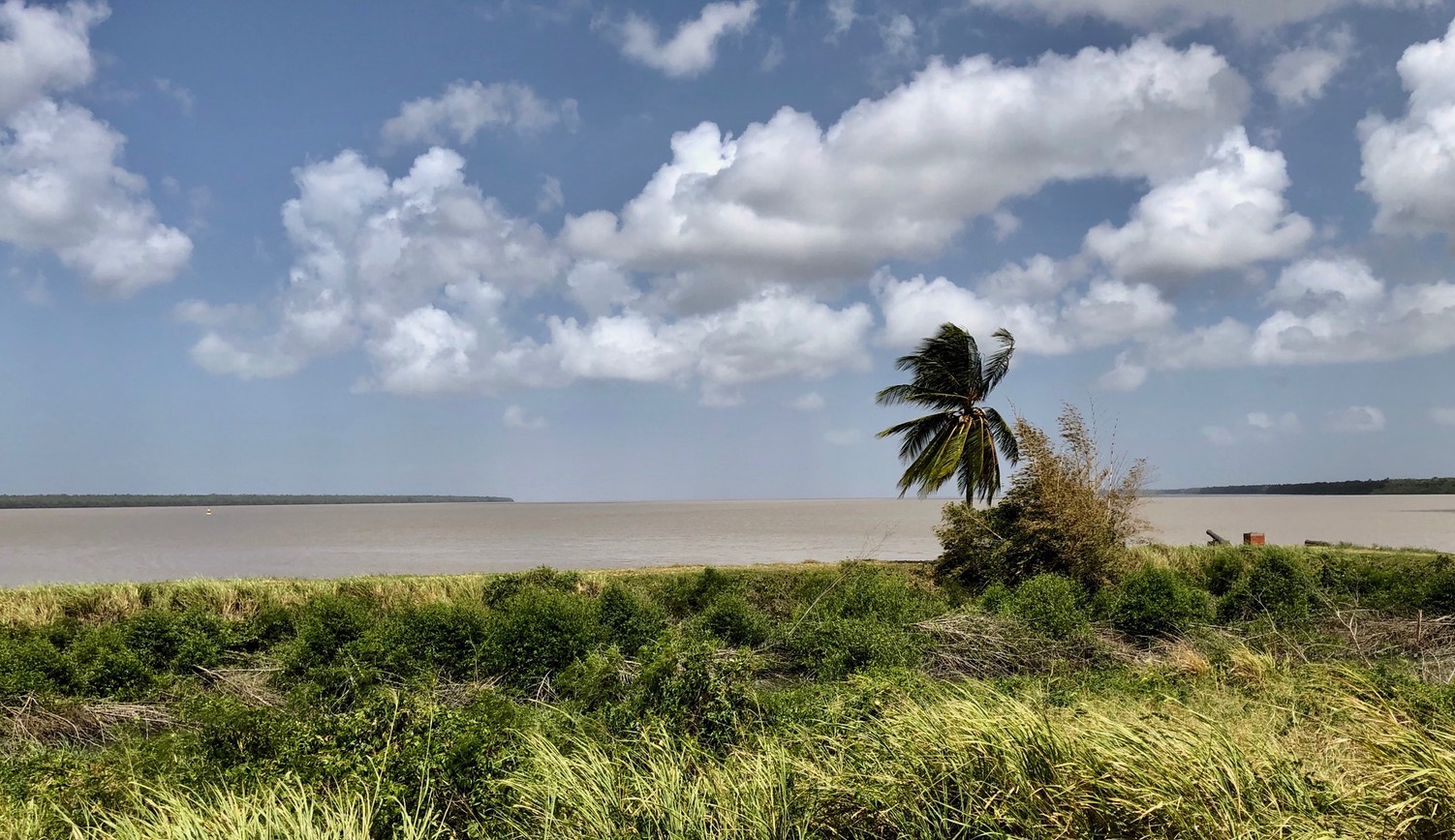 Surinamerivier - Reizen langs Rivieren