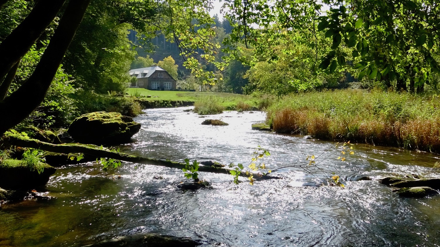 Lesse - Reizen langs Rivieren