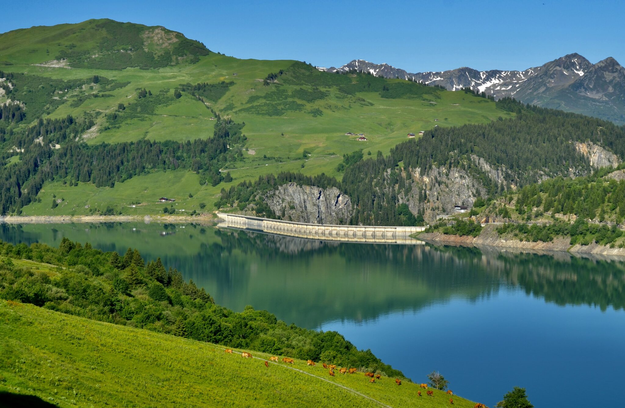 Stuwmeer inspireert Franse kaasboeren - Reizen langs Rivieren